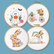 Four Seasons Bundle – Clever Poppy